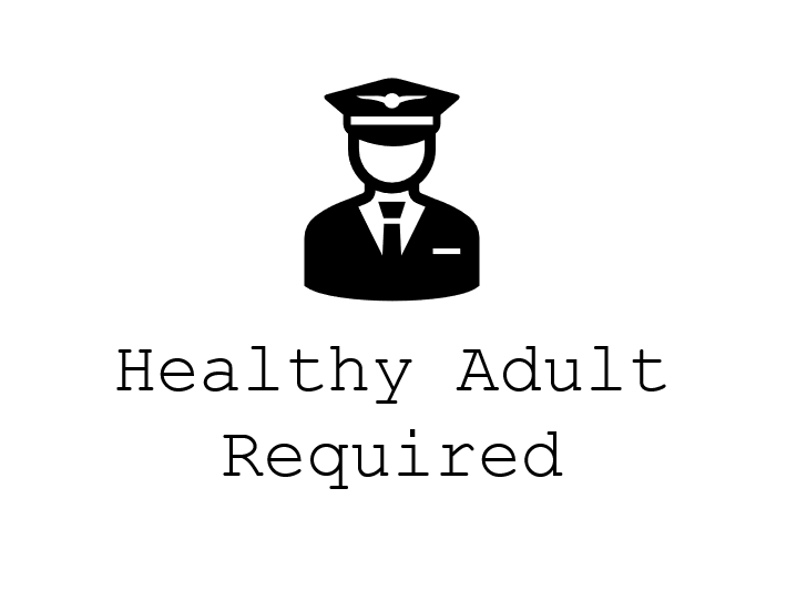 What is the "Healthy Adult"? | With a Little Help Counselling