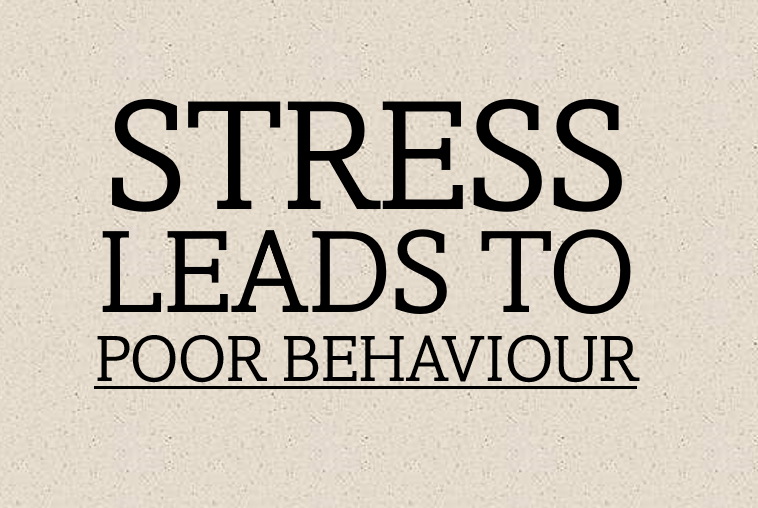 New Link Found Between Stress and Behaviour | With a Little Help ...
