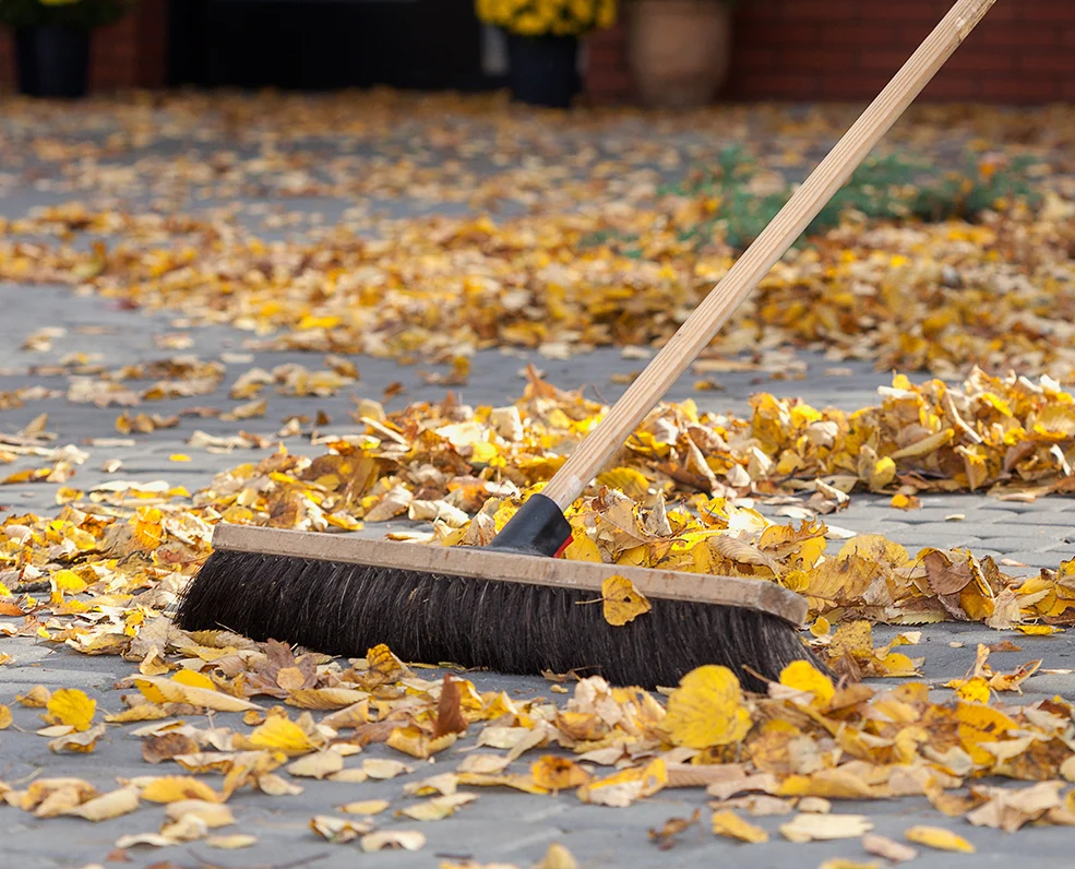 When Sweeping, Just Sweep | With a Little Help Counselling